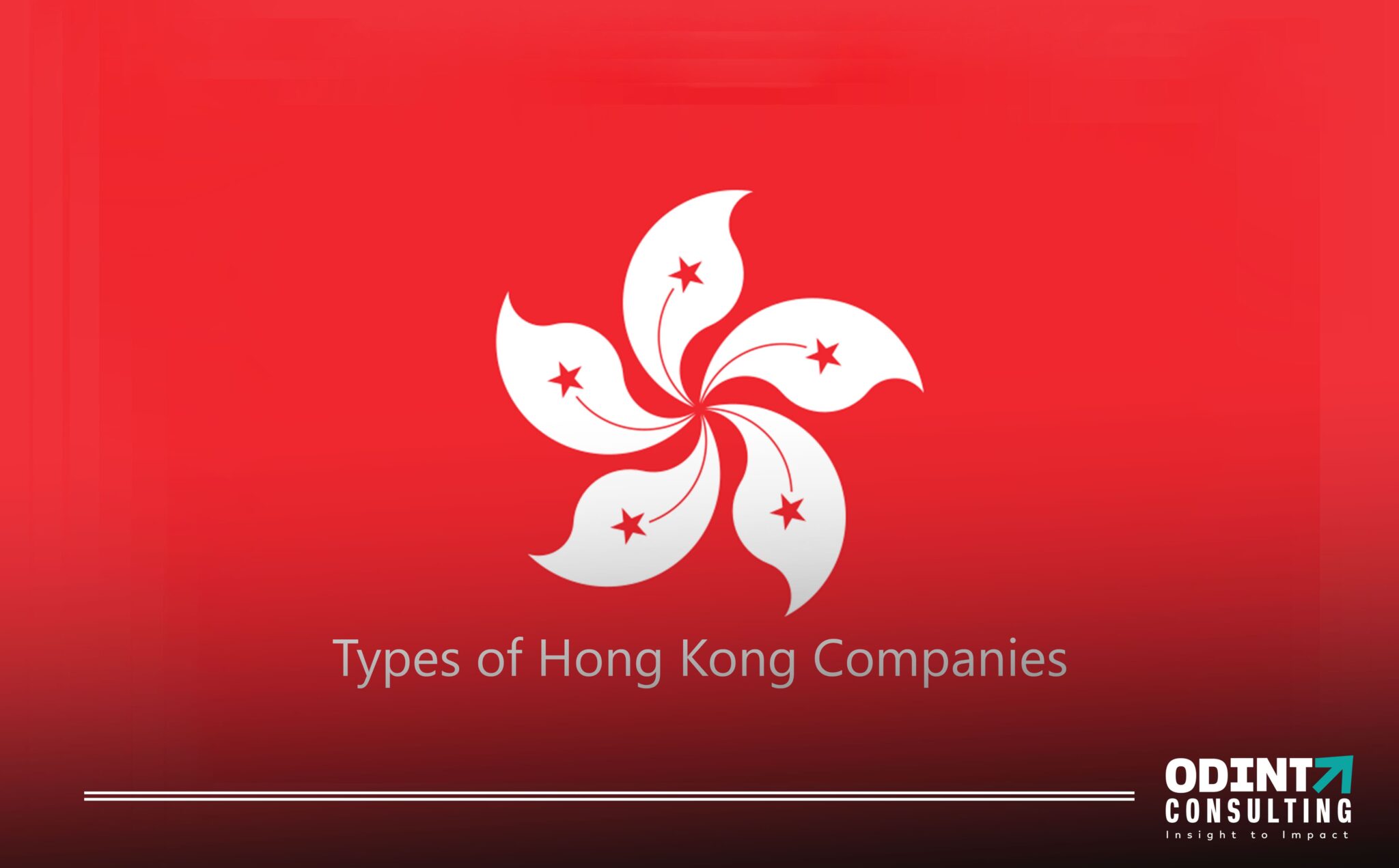 Types Of Hong Kong Companies With Pros & Cons