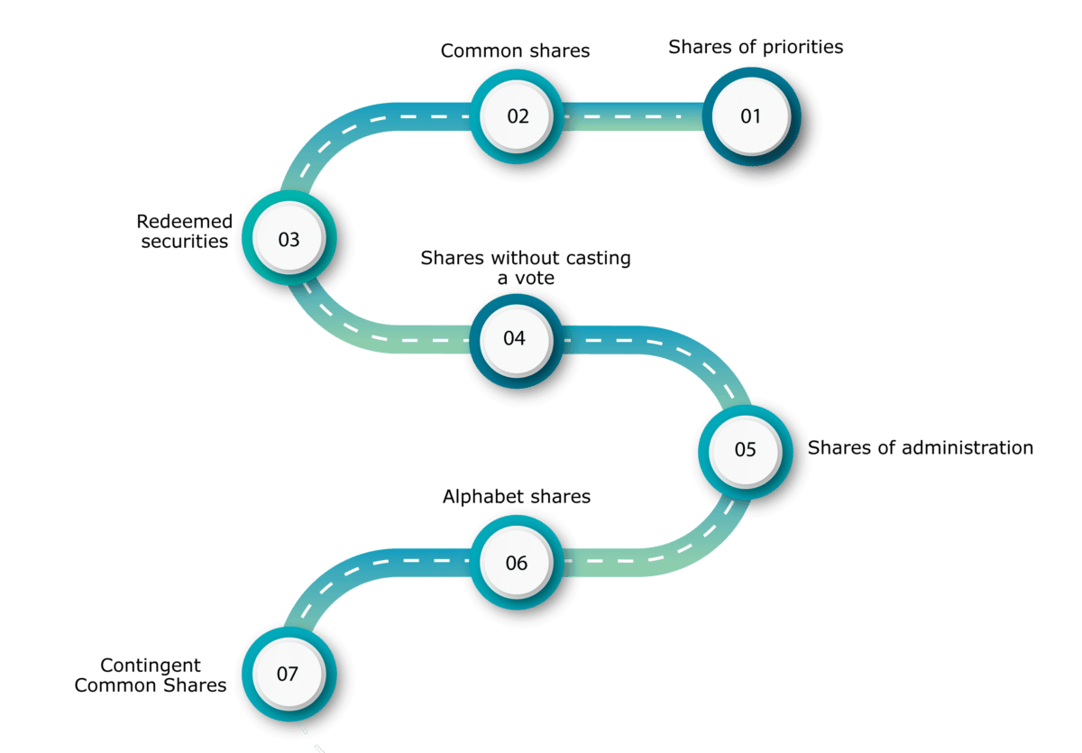 Singapore Company Share Classes Decision: Nature & Common Share Classes