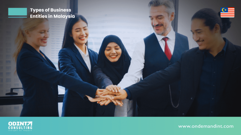 6 Types of Business Entities in Malaysia in 2023-24| Odint Consulting