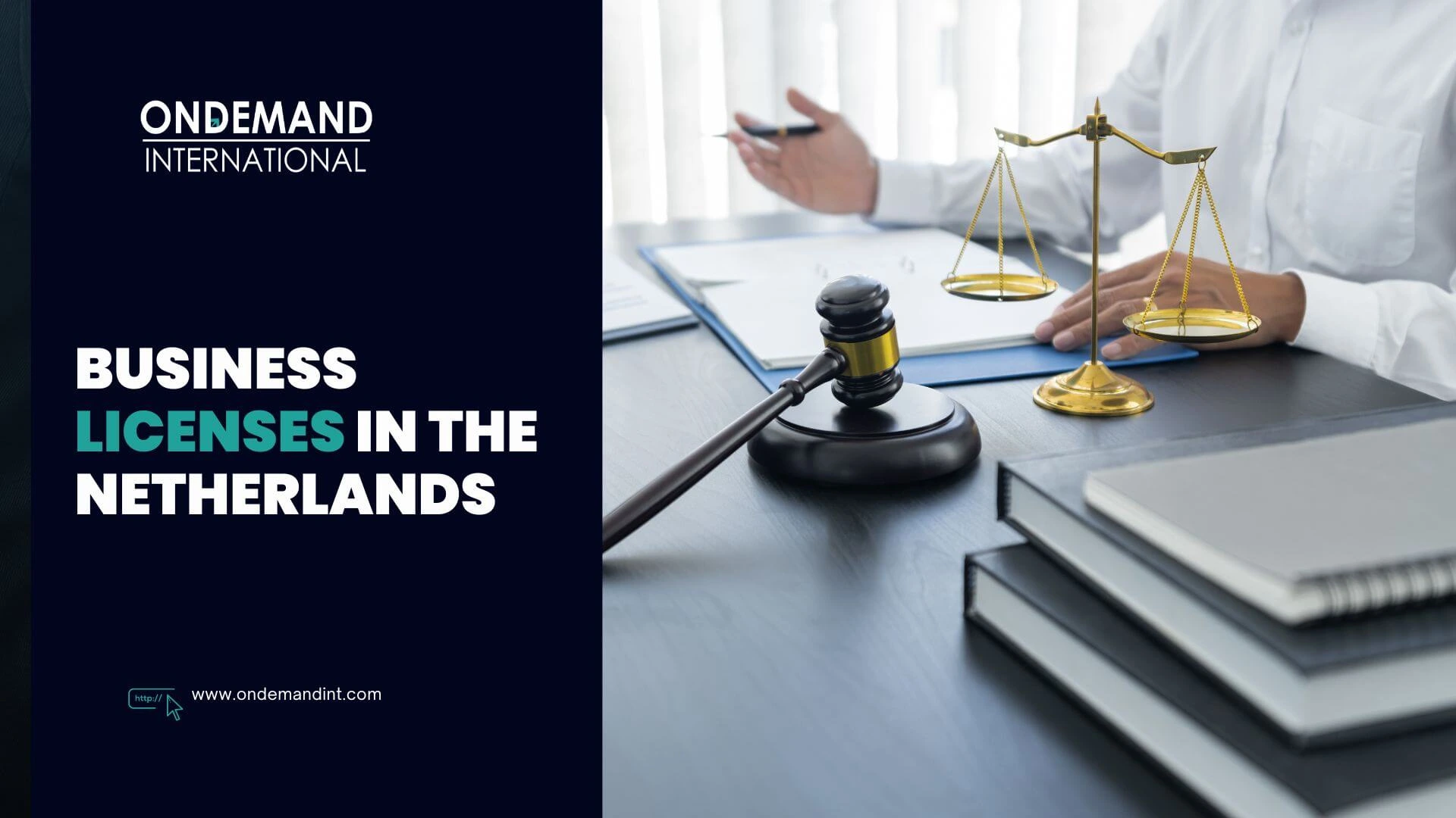 How to Apply for Business Licenses in the Netherlands in 2023-24?