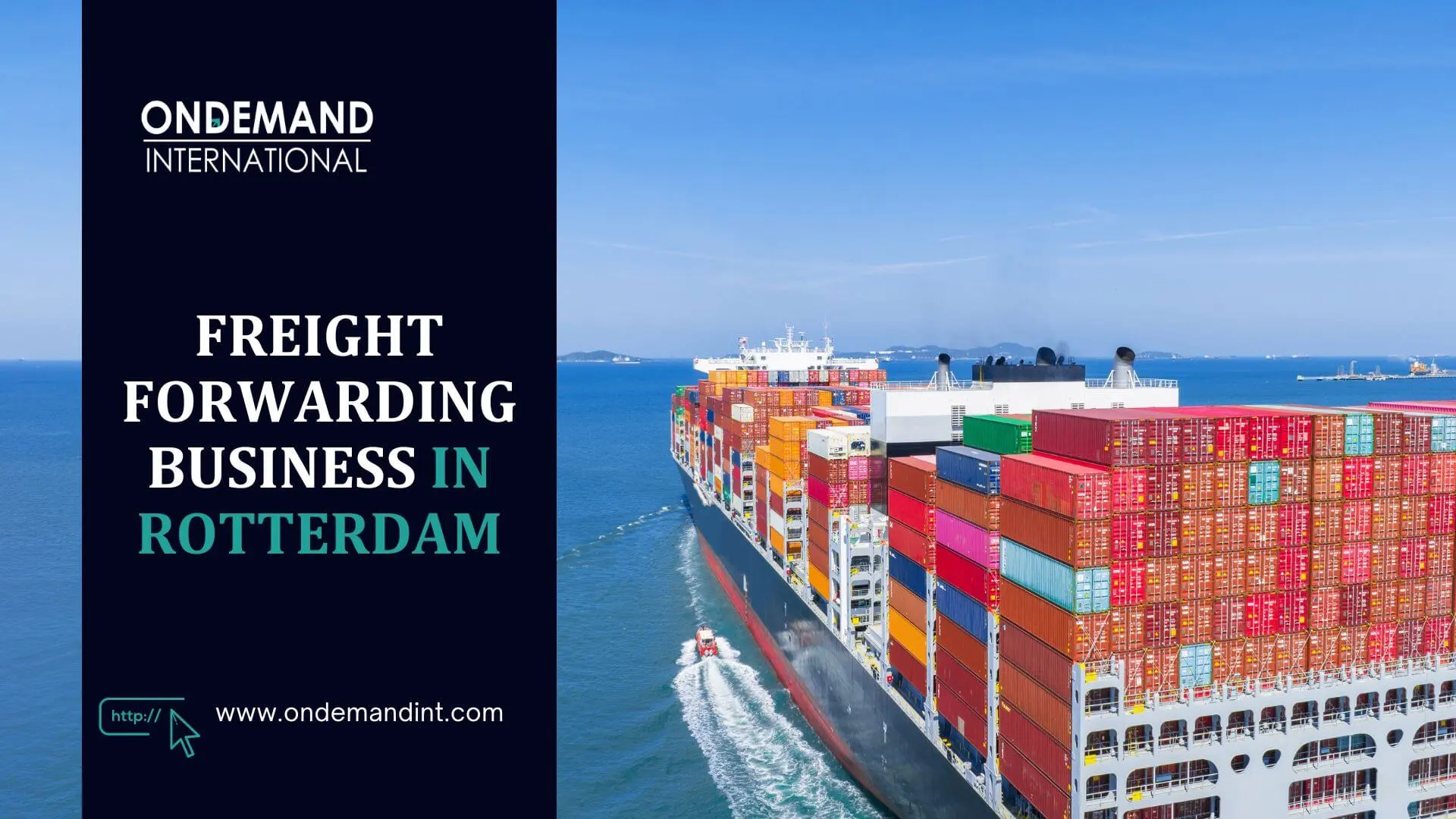 Register a Freight Forwarding Business in Rotterdam in 2024: Procedure ...