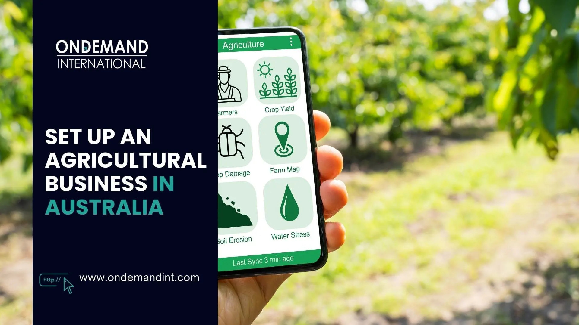 Set Up An Agricultural Business In Australia: in 2024 Benefits & Challenges