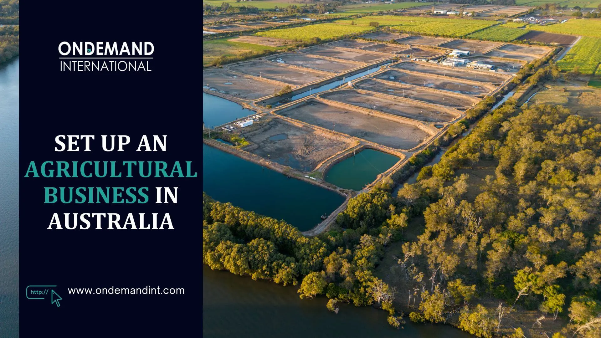 Set Up An Agricultural Business In Australia In 5 Steps: Benefits ...