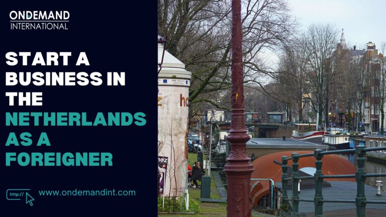 Start a Business in the Netherlands as a Foreigner | Complete Guide (2024)