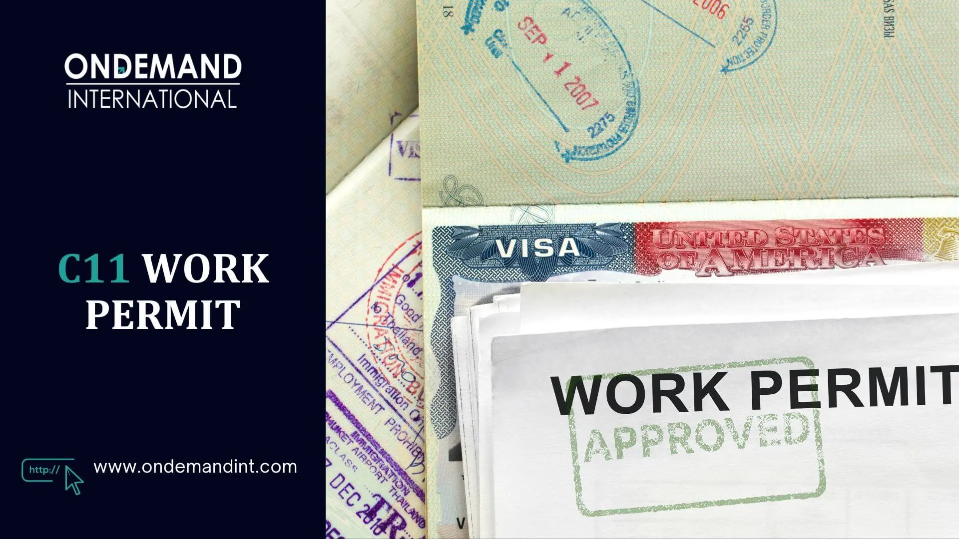 C11 Work Permit: Complete Guide for 2024