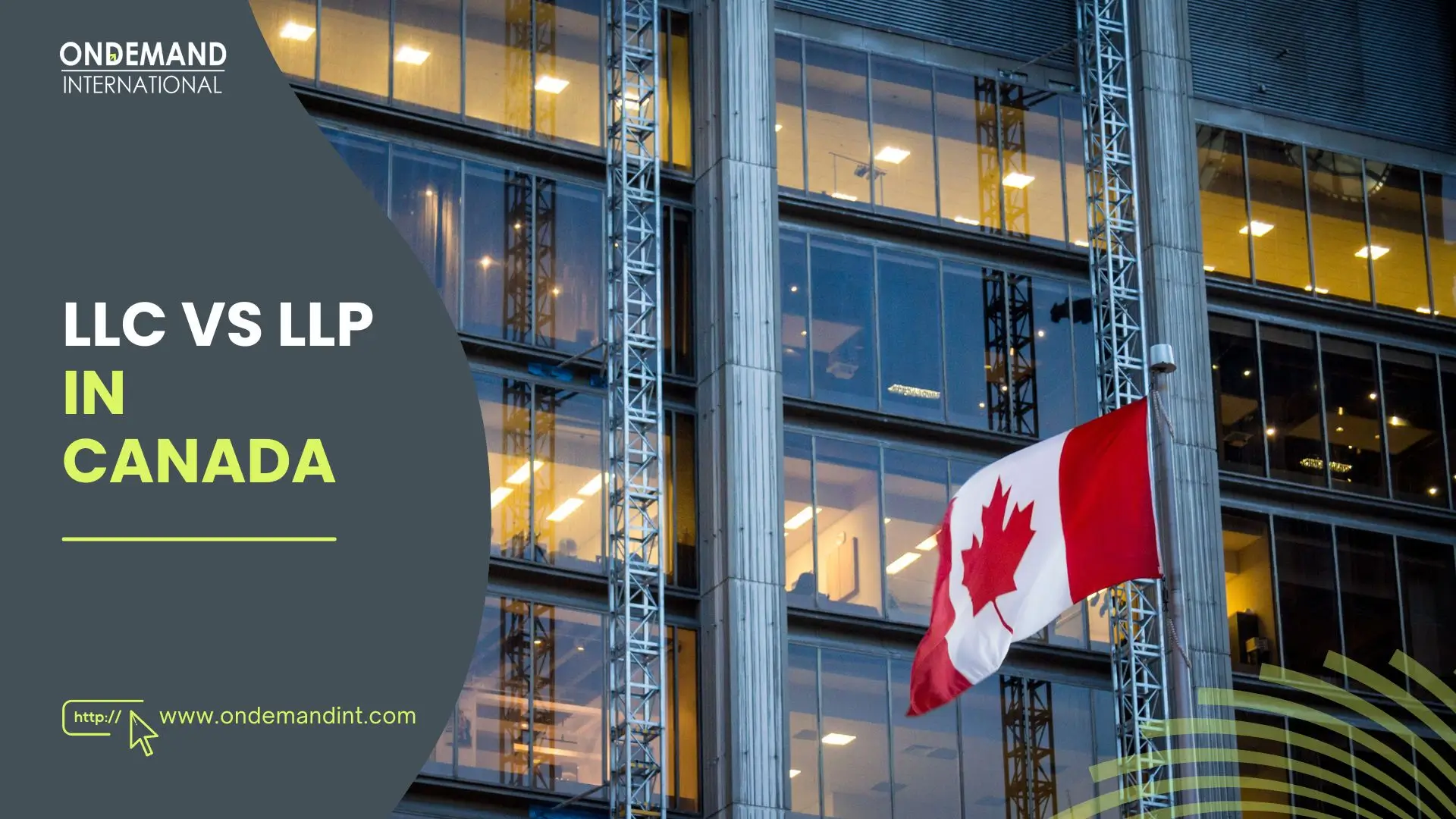 LLC vs LLP in Canada: Best Business Structure in Canada